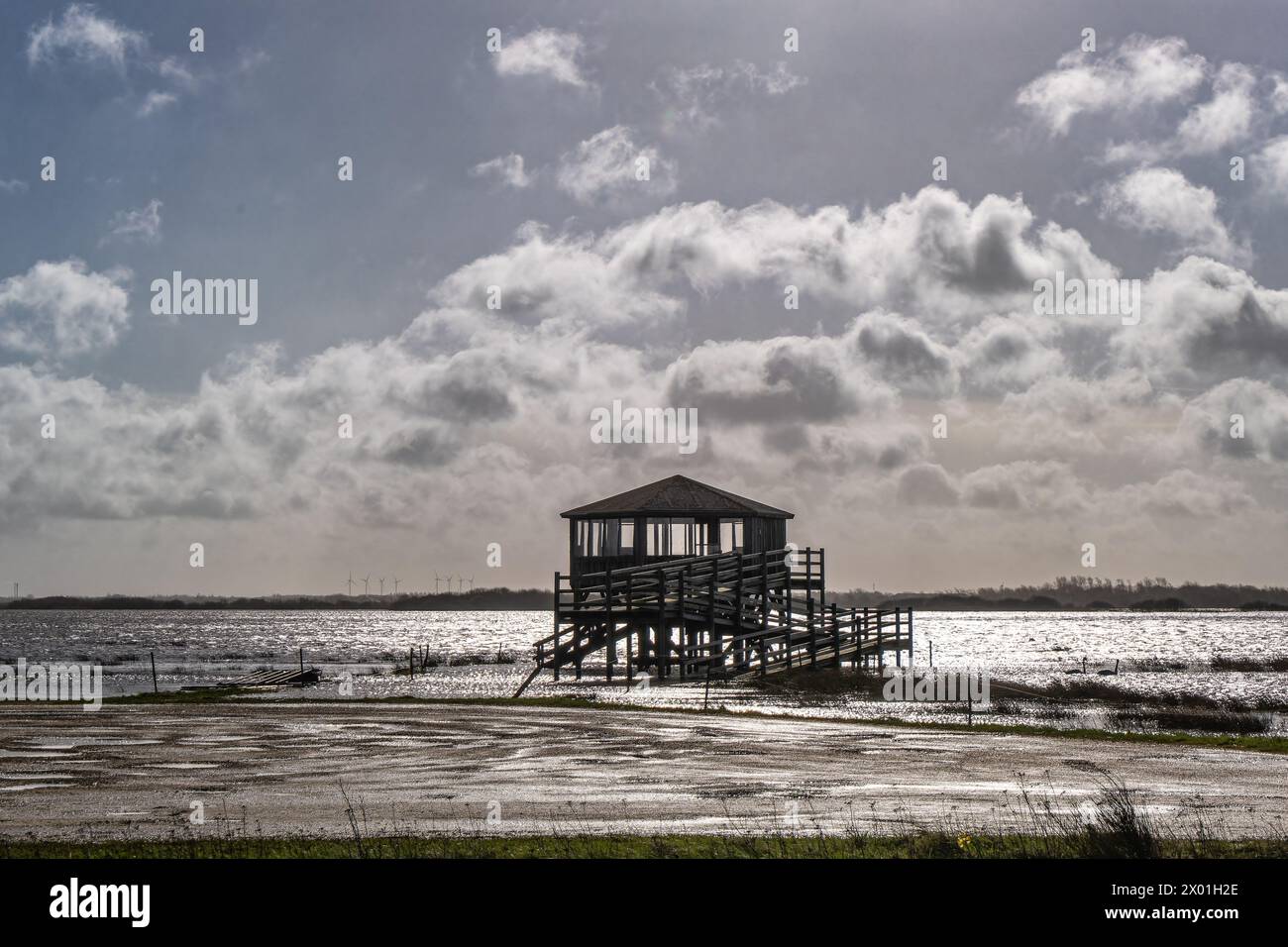 Bird watch tower in flooded Skjern meadows, protected wild life area ...