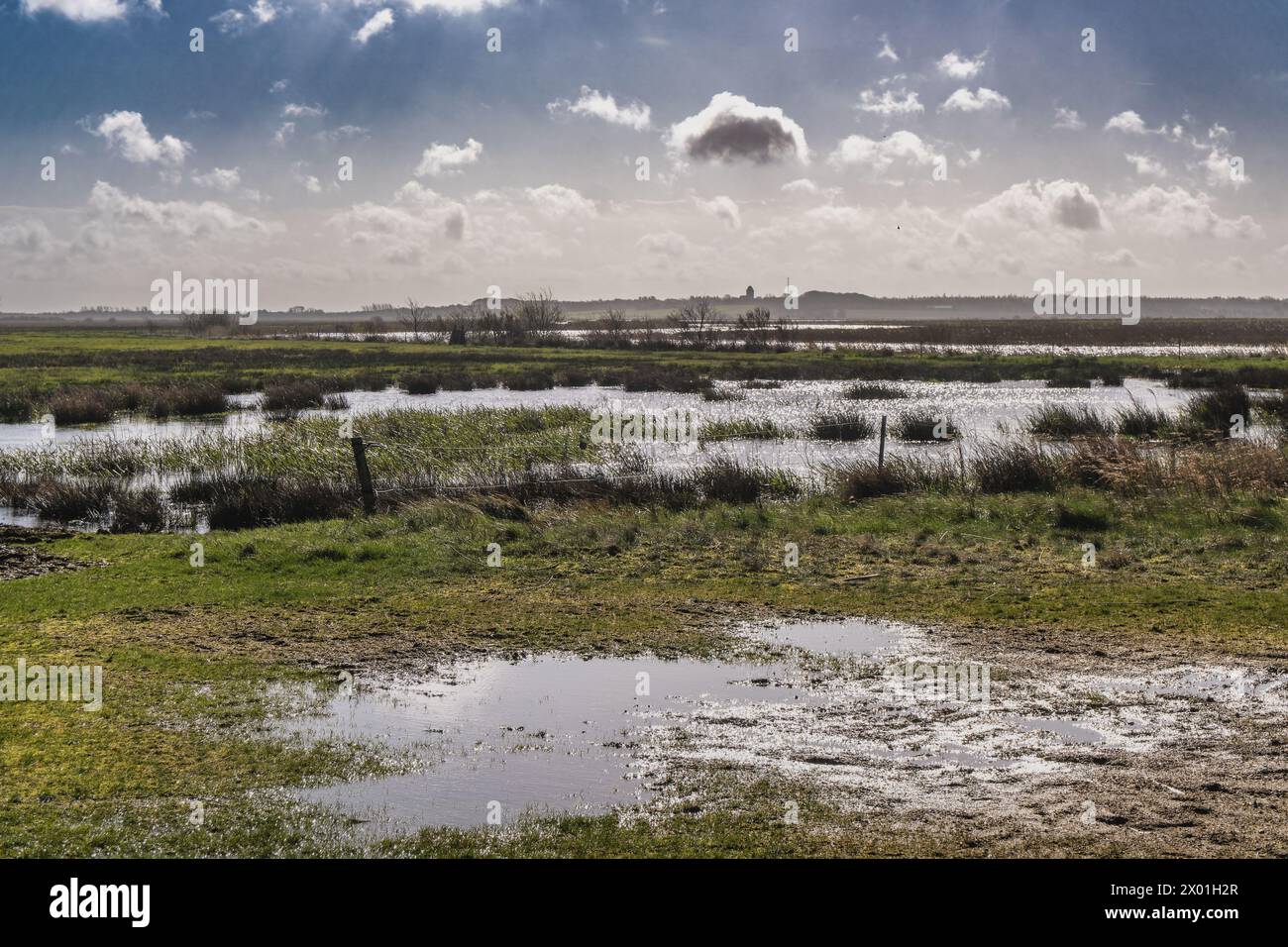 Meadows near Skjern wildlife protected area in west Denmark Stock Photo ...