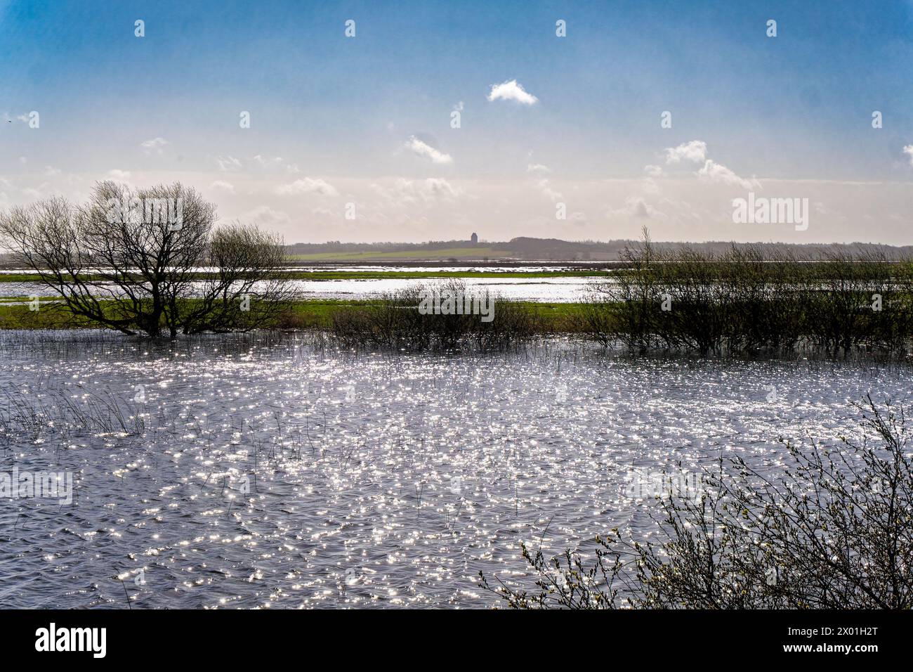 Meadows near Skjern wildlife protected area in west Denmark Stock Photo ...