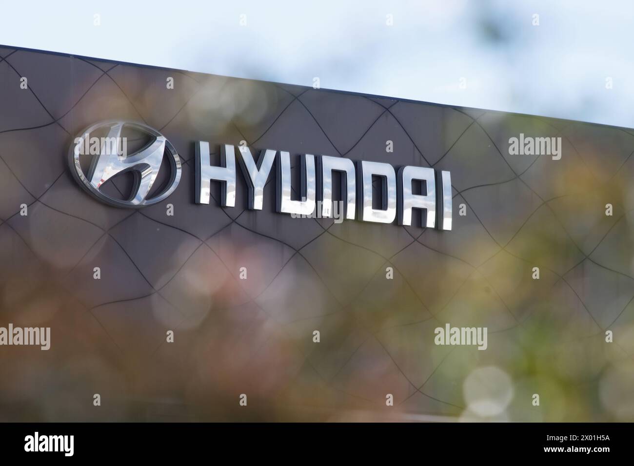 Hyundai Service Logo
