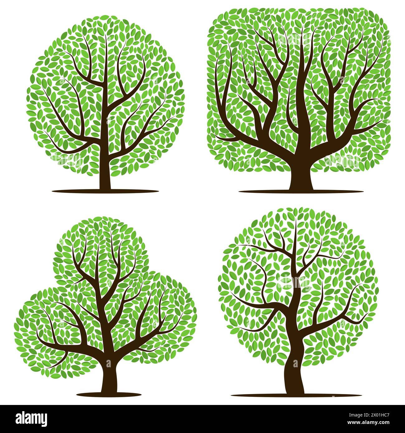 Four trees with green leaves isolated on a white background Stock ...