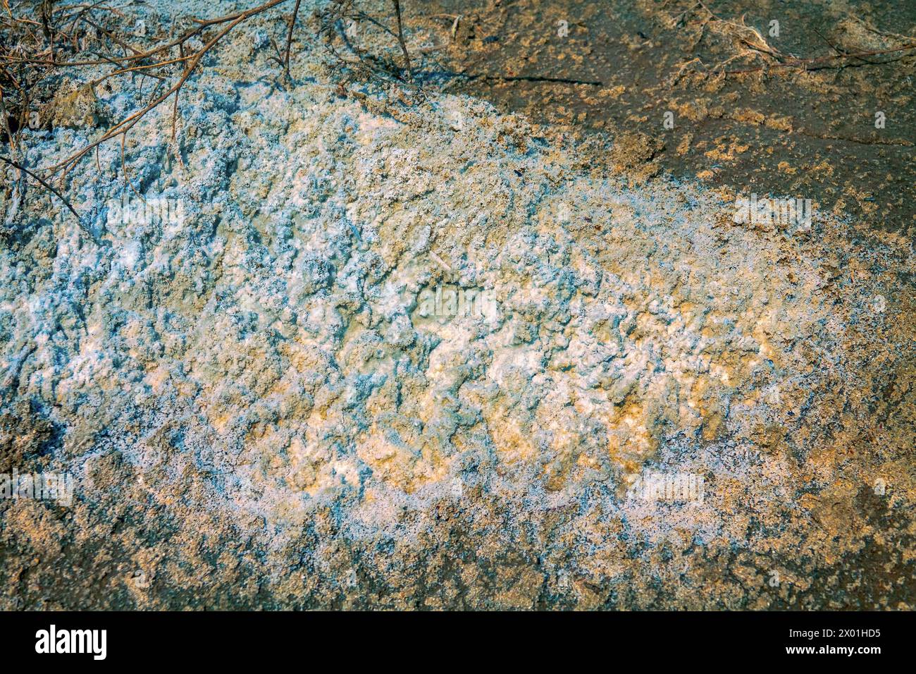 Pedology. Dried-up lake basin (dry lakebed) with a crust is called an ...