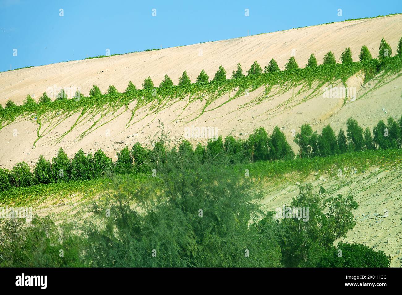 Dubai, Arab Emirates - January 15, 2023: Strengthening highway slopes ...