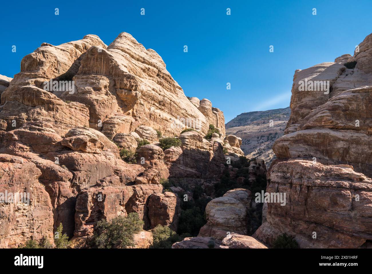 Shaq al Reesh trail in the Dana Biosphere, Jordan Stock Photo - Alamy