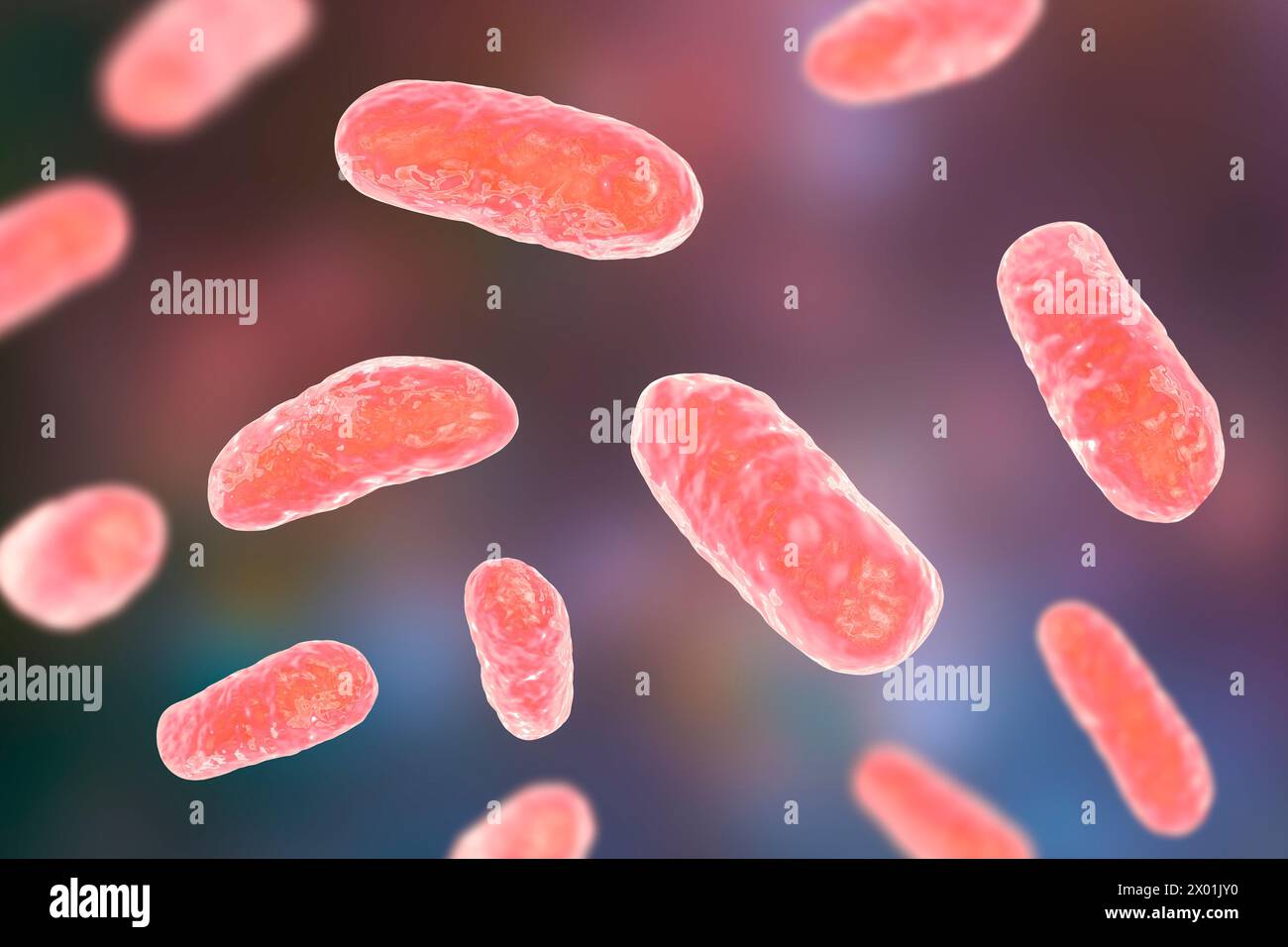 Disease causing pathogens hi-res stock photography and images - Alamy