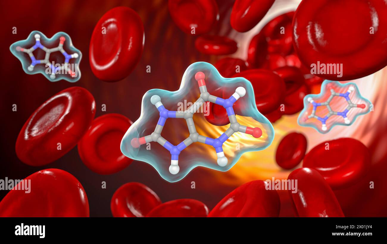Illustration of the molecular structure of uric acid in circulation ...