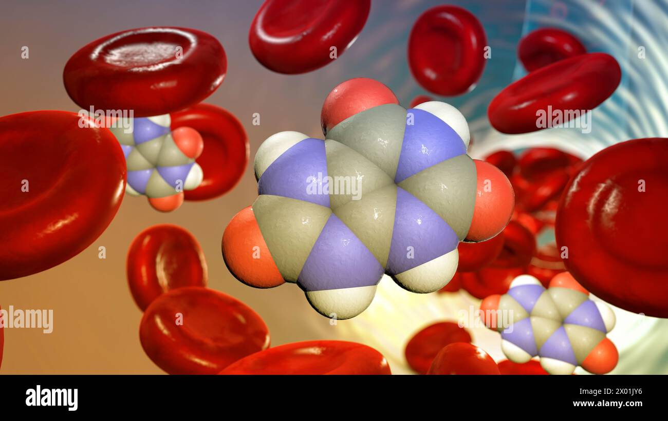 Illustration of the molecular structure of uric acid in circulation ...