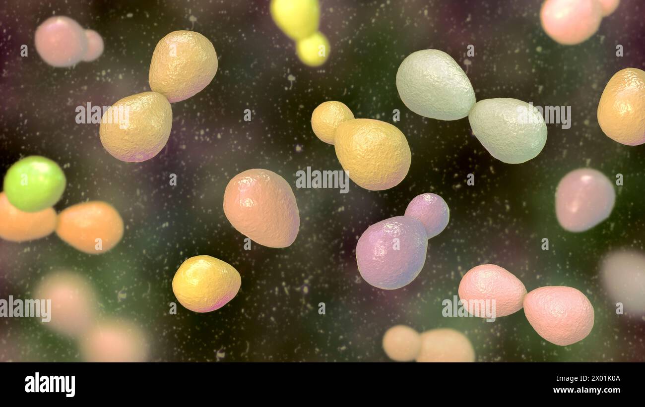 Depicted tissues hi-res stock photography and images - Alamy