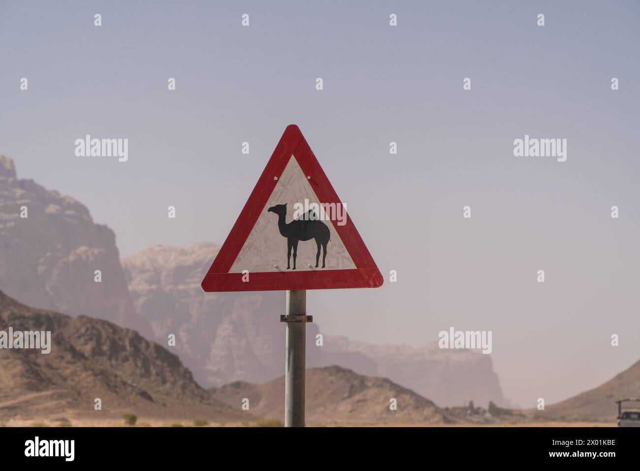 Dromedary warning sign in the desert, Jordan Stock Photo - Alamy