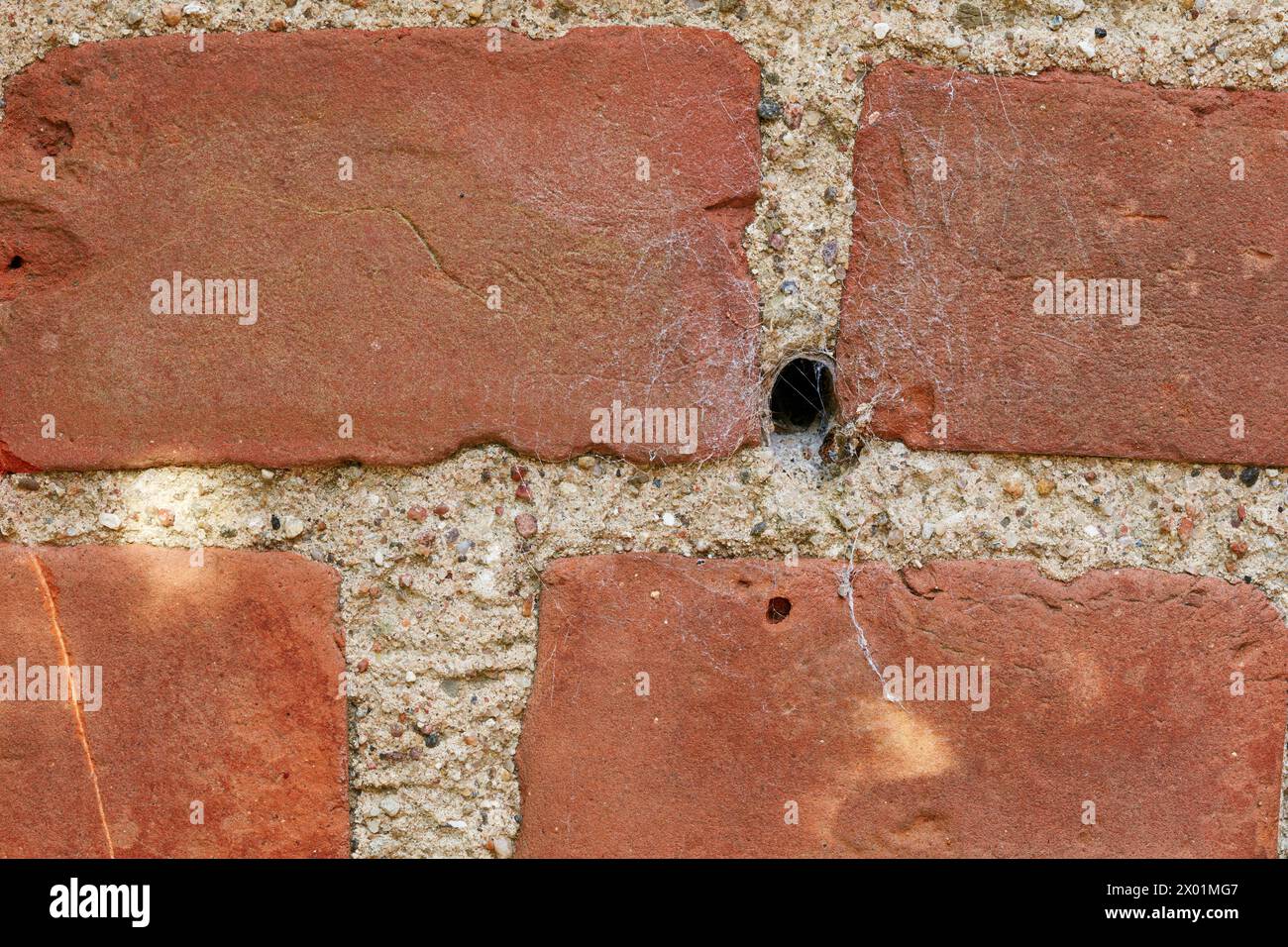 Building, hole and closeup of red, brick wall for texture, background ...
