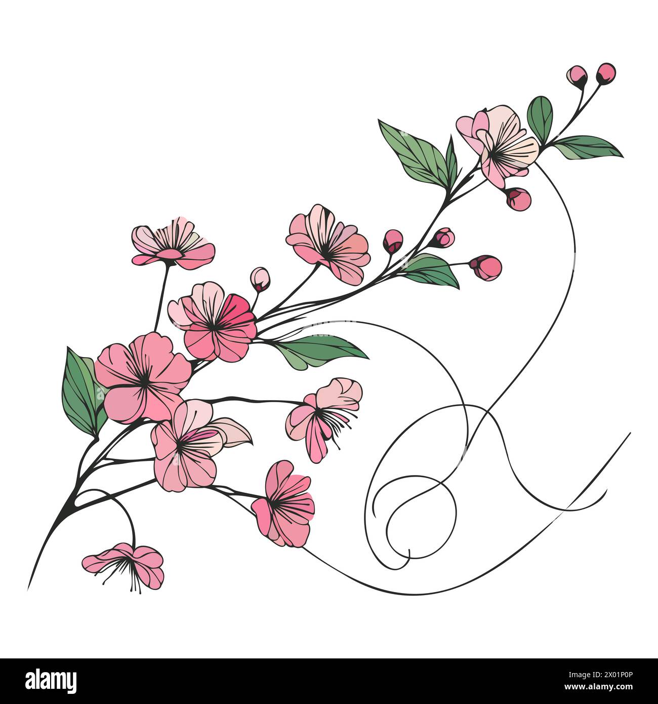 Flower in continuous line drawing style Stock Vector Image & Art - Alamy