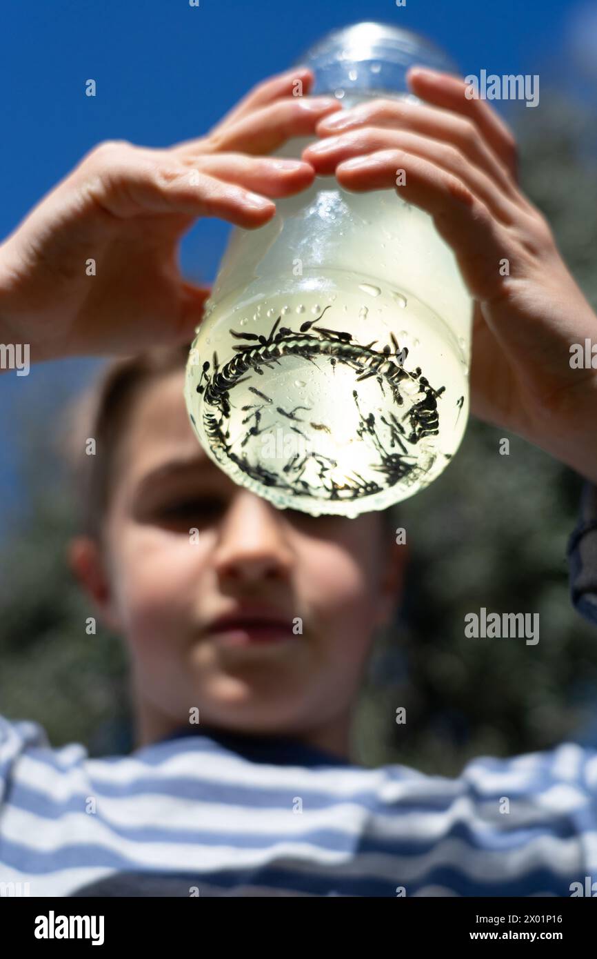 Boy tadpoles hi-res stock photography and images - Alamy