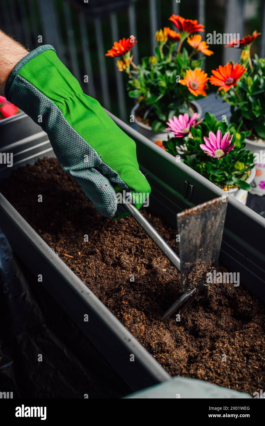 Soil cross section flowers hi-res stock photography and images - Alamy