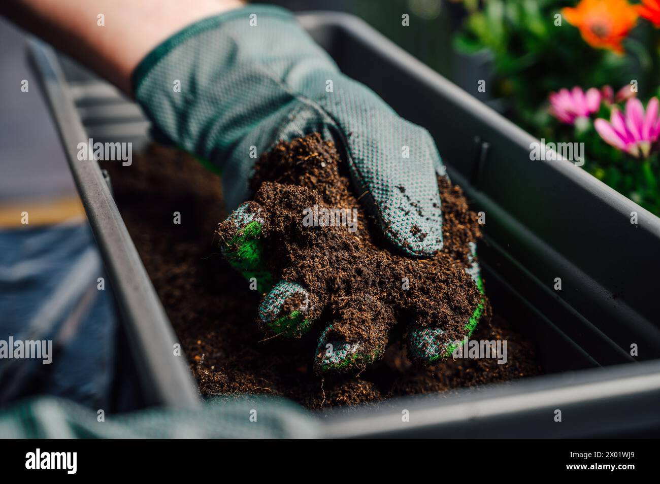 Soil cross section flowers hi-res stock photography and images - Alamy
