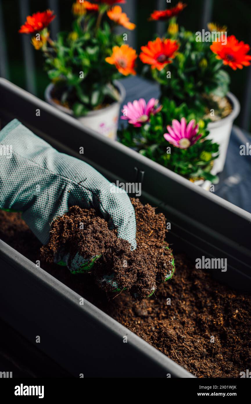 Soil cross section flowers hi-res stock photography and images - Alamy