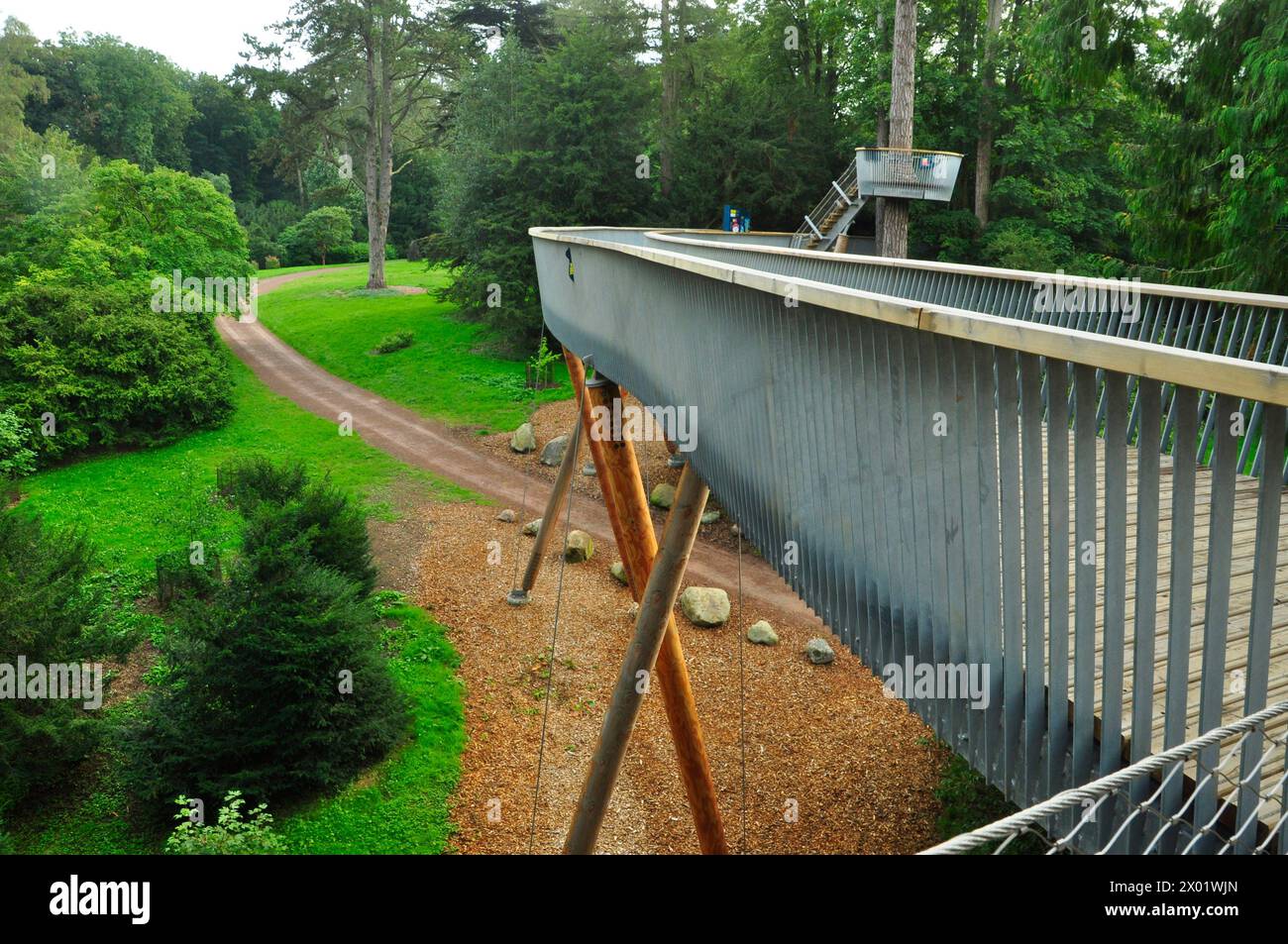 The tree top walkway at the Westonbirt Arboretum in Gloucestershire.The ...