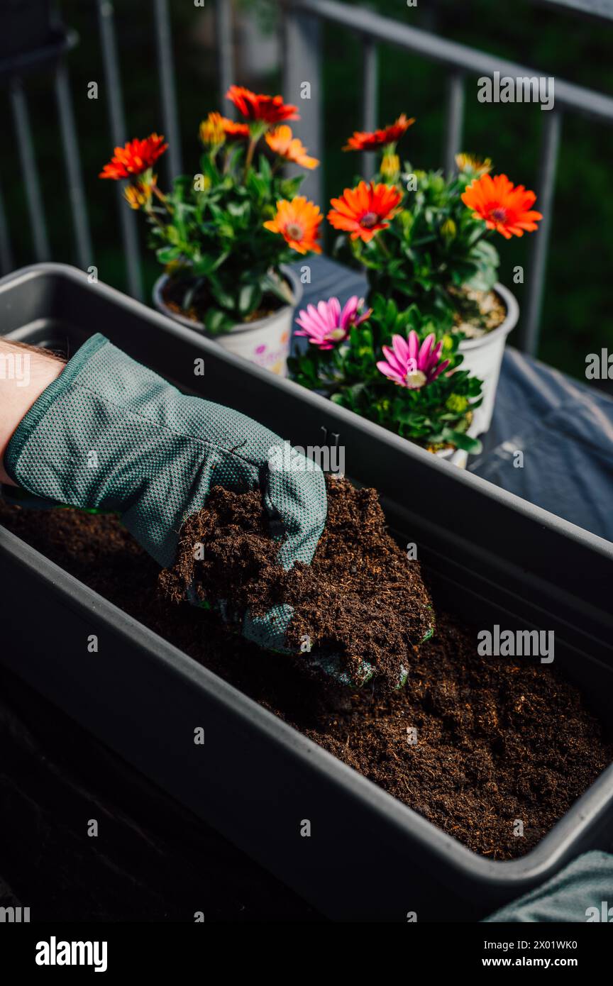 Soil cross section flowers hi-res stock photography and images - Alamy