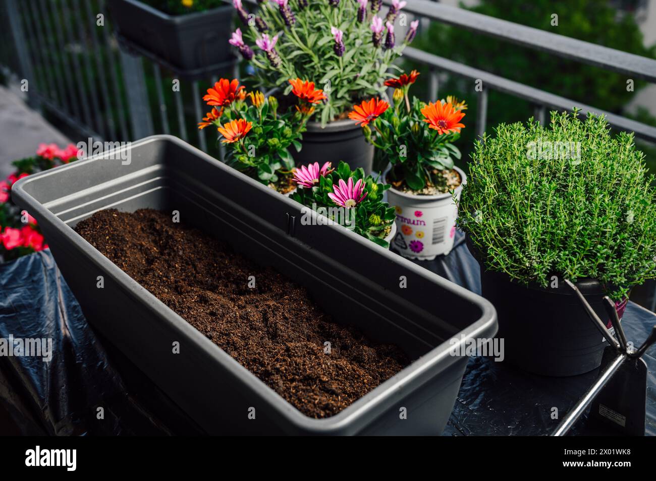 Planting plant environment icon hi-res stock photography and images - Alamy