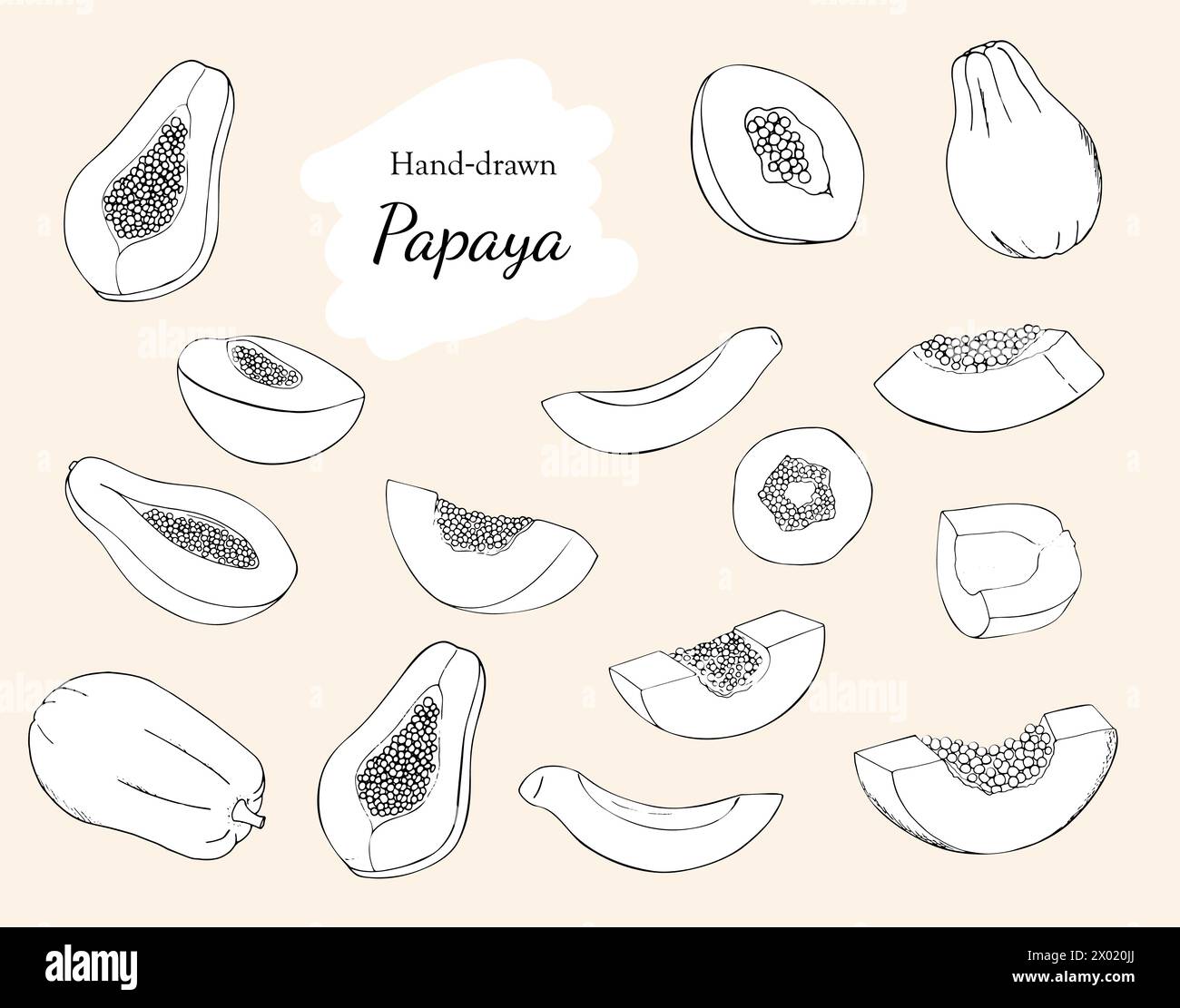 Hand-drawn papaya fruit set. Whole, sliced, half papaya with seeds ...