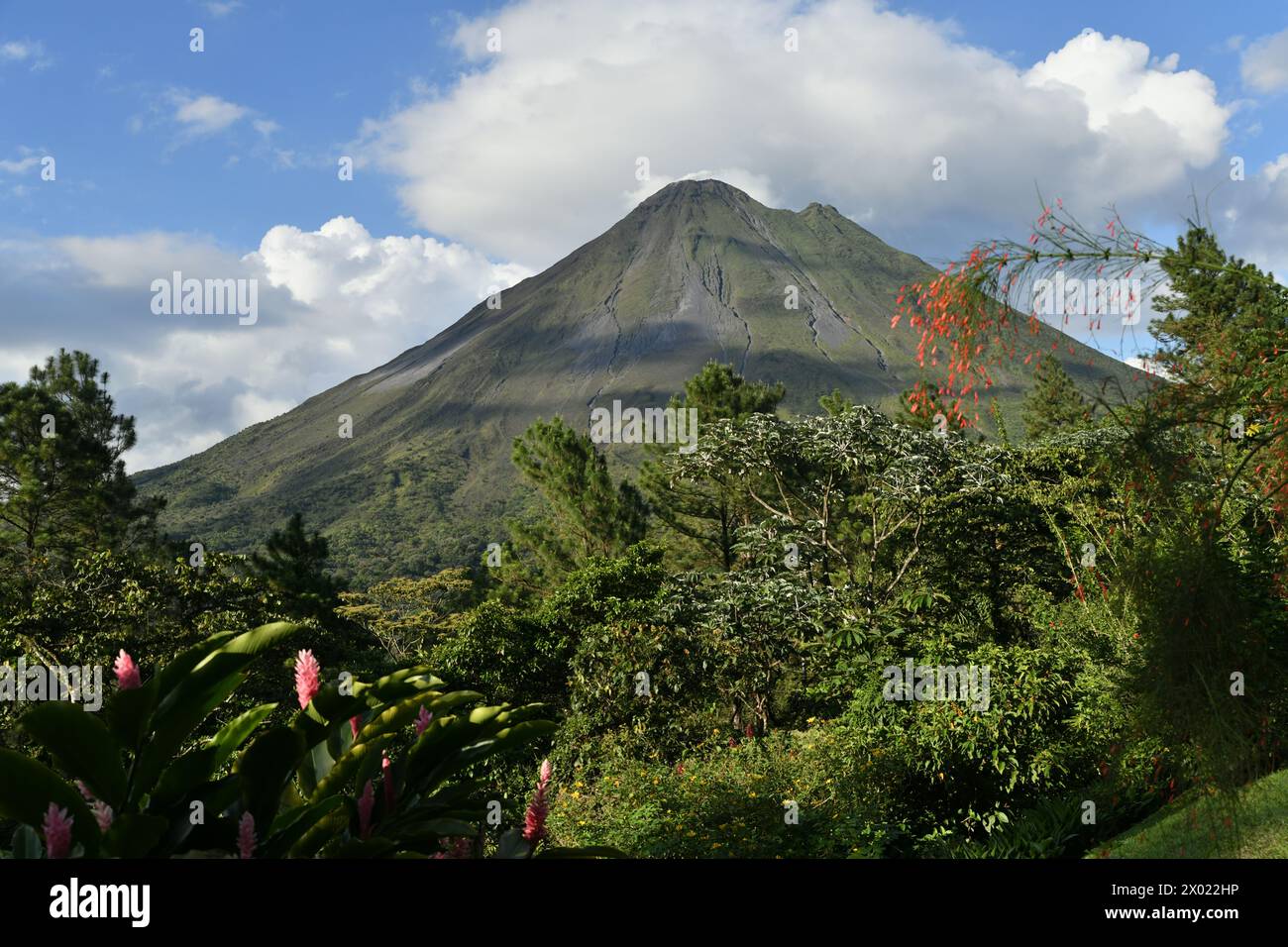 View wetland habitat el hi-res stock photography and images - Alamy