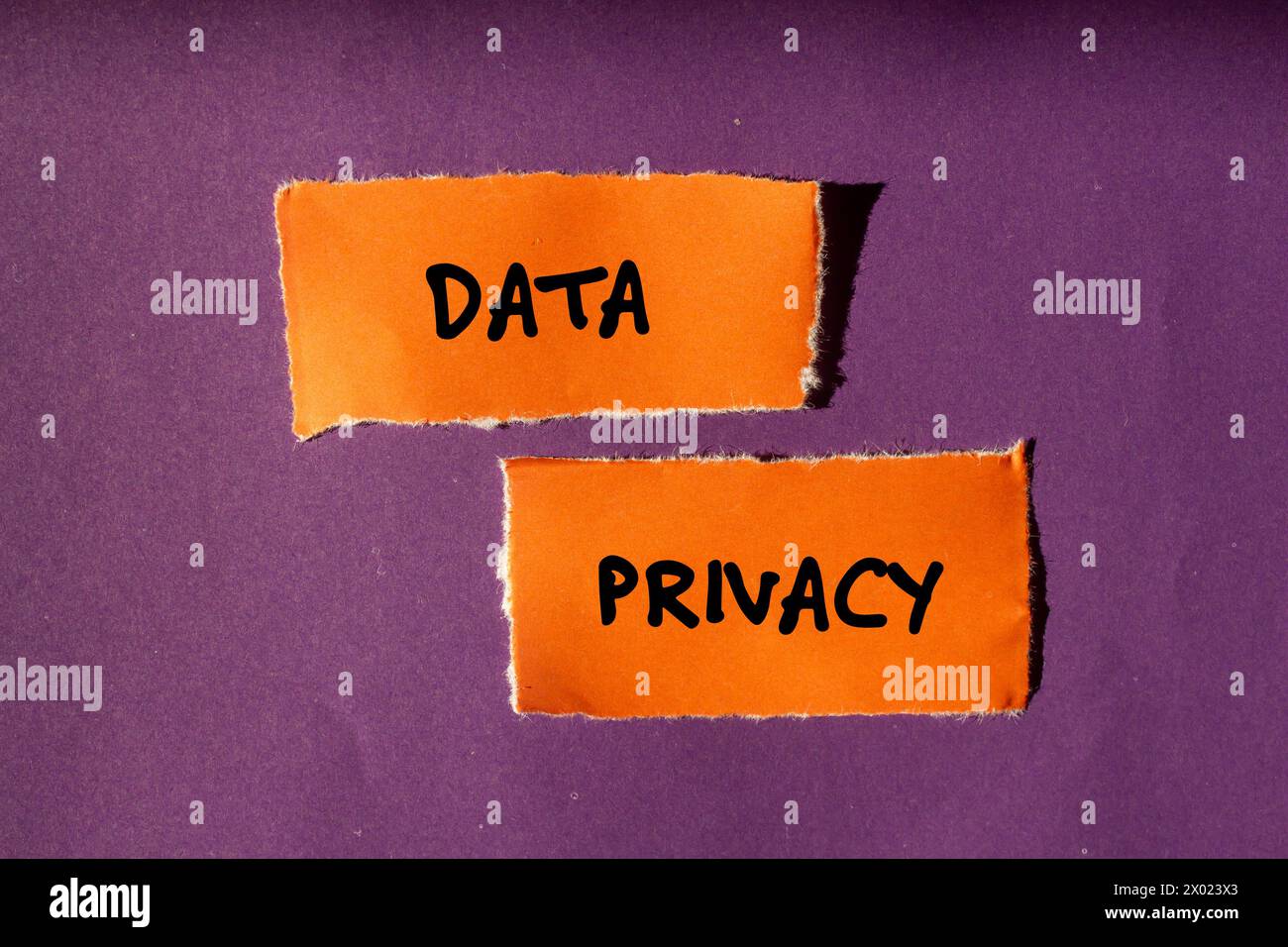Data privacy words written on ripped paper pieces with purple ...