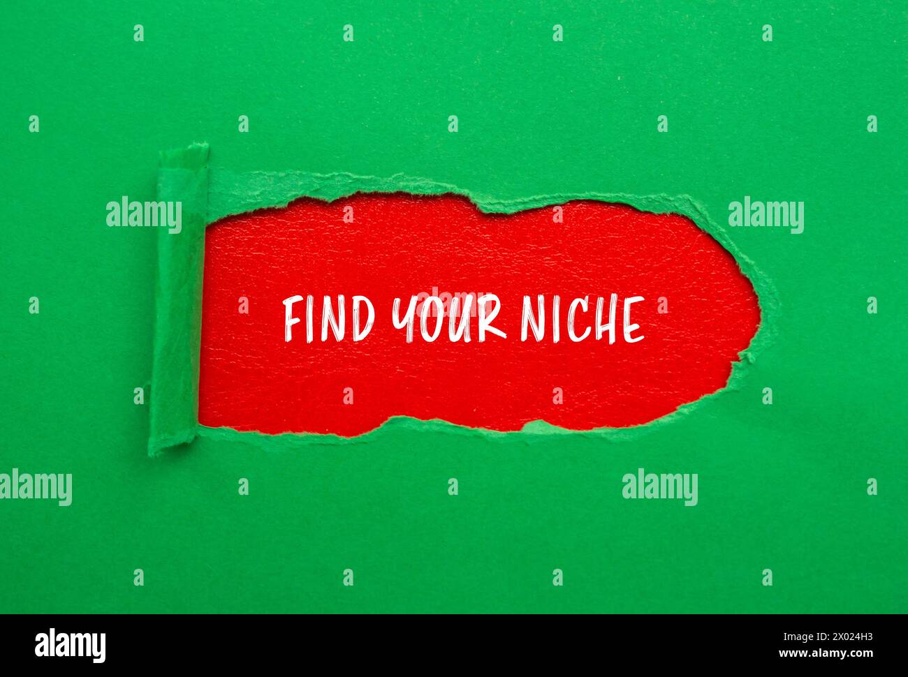 Find your niche words written on ripped green paper with red background ...