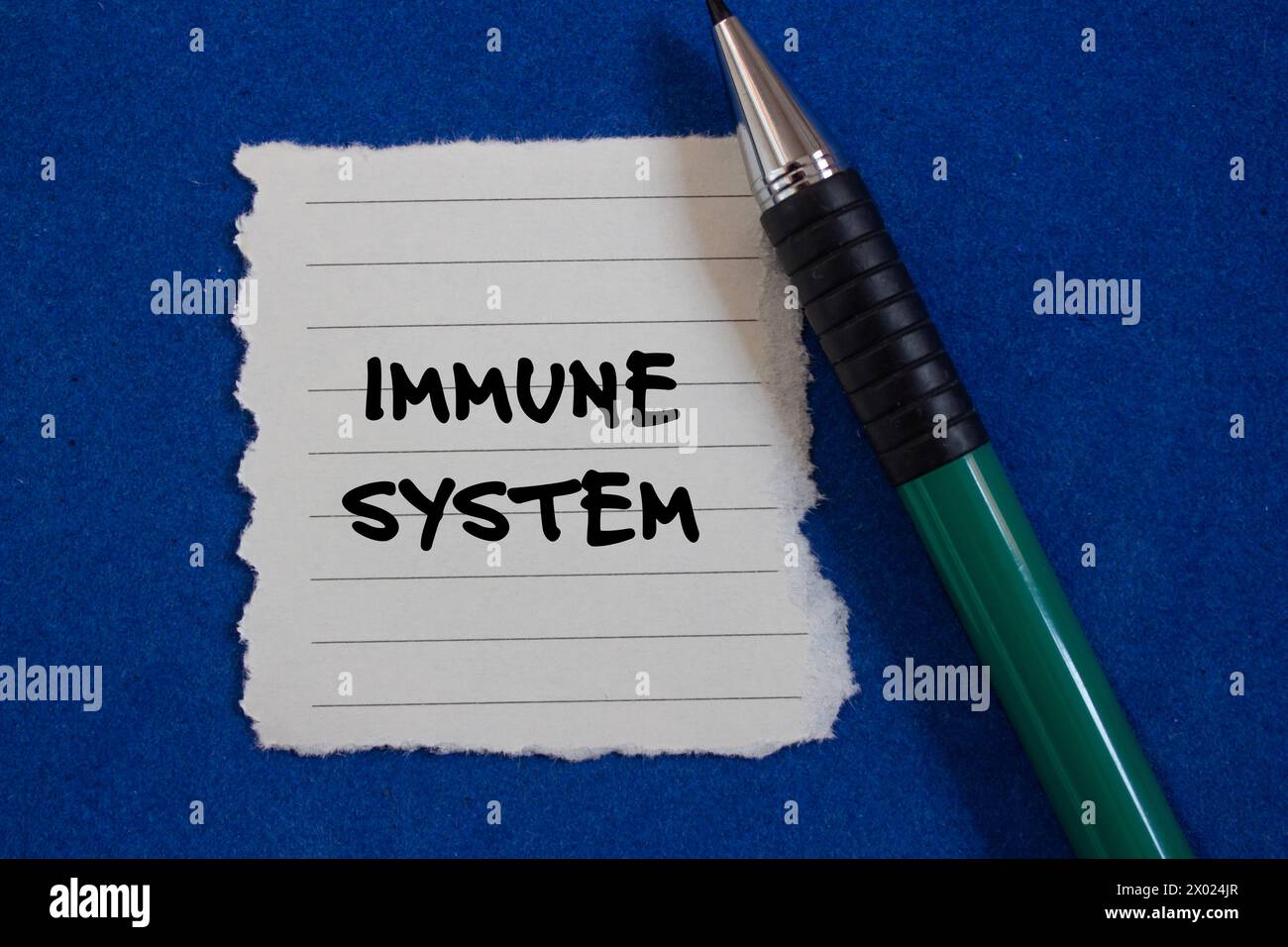 Immune system words written on ripped paper with blue background ...
