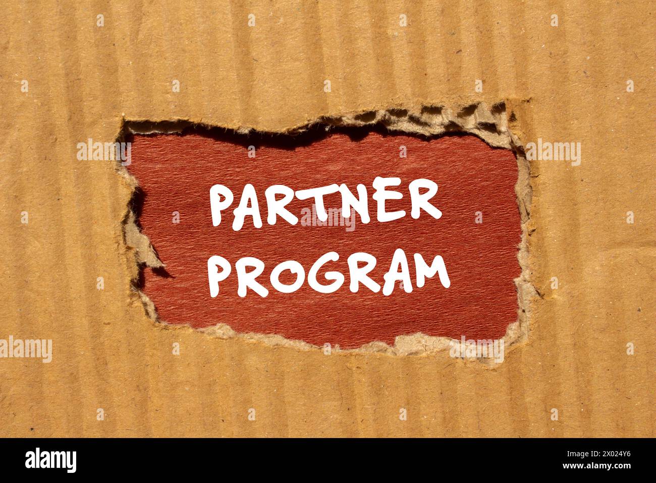 Partner program words written on ripped paper with brown background ...