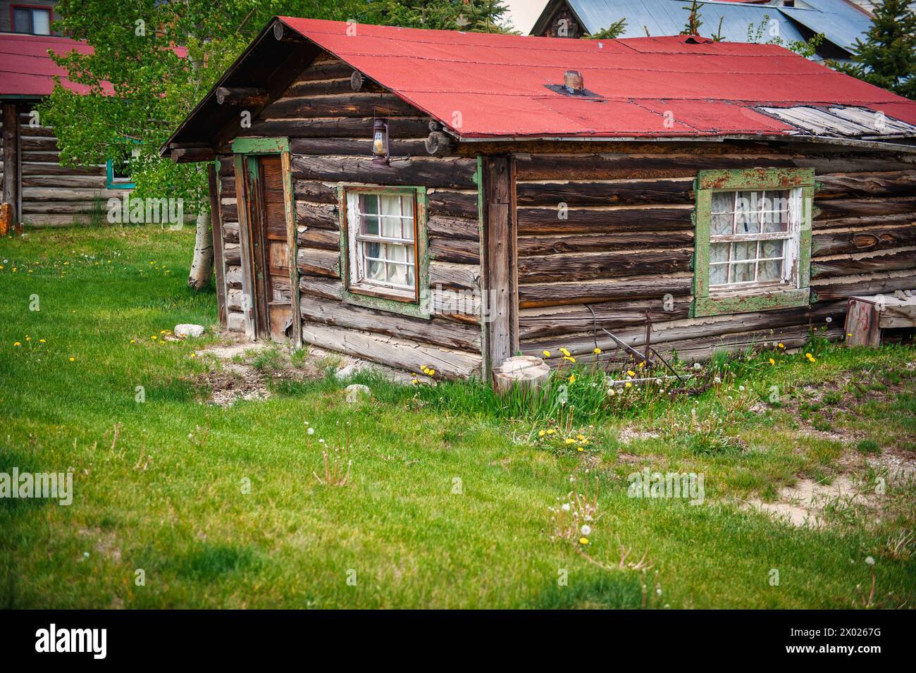 Weathered log cabin, indicative of colorado's rich history, stands in a ...