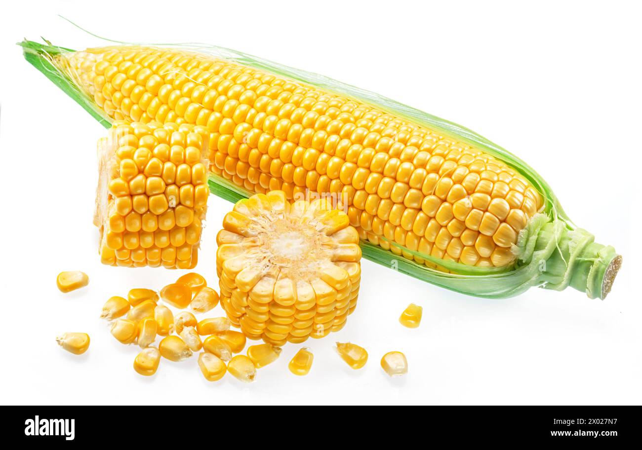 Maize cobs and corn cob pieces on white background Stock Photo - Alamy