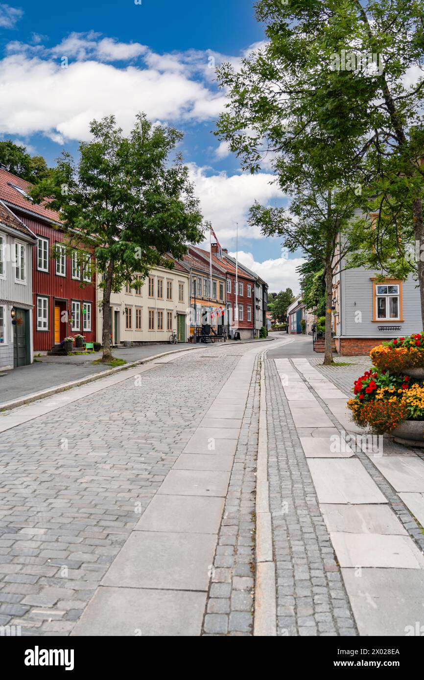 Traditional colorful houses line the cobblestone street of Øvre ...