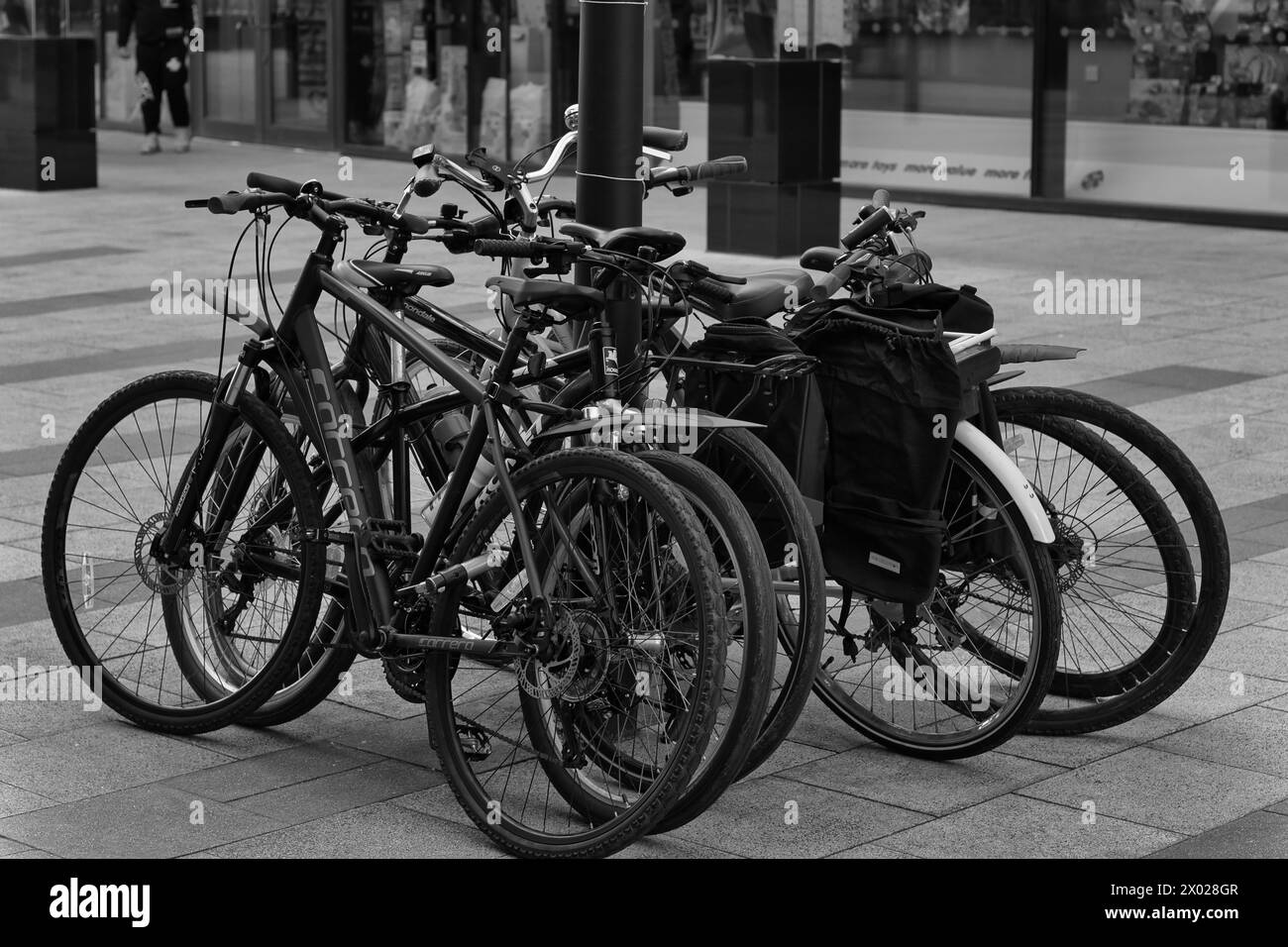 Black and white image of multiple bicycles locked to a bike rack in an ...