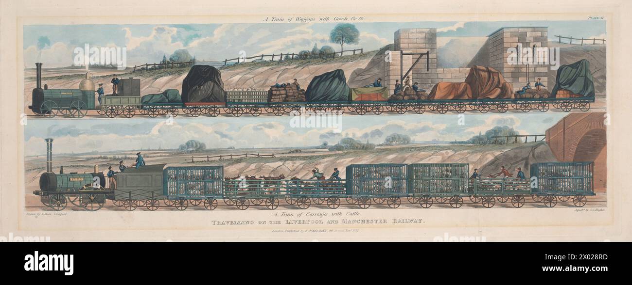 Train of carriages with cattle hi-res stock photography and images - Alamy