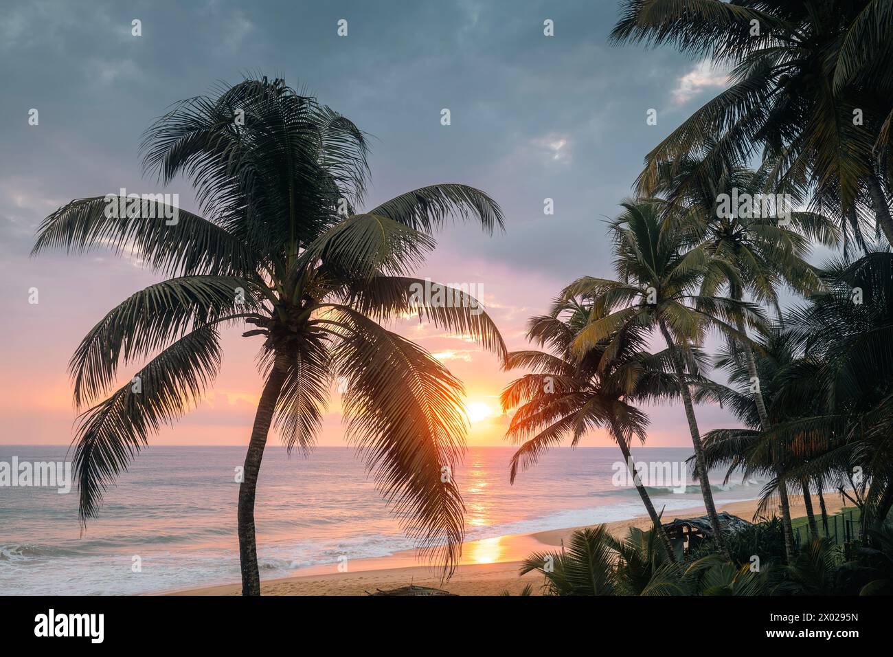 Coconut trees over sea hi-res stock photography and images - Alamy