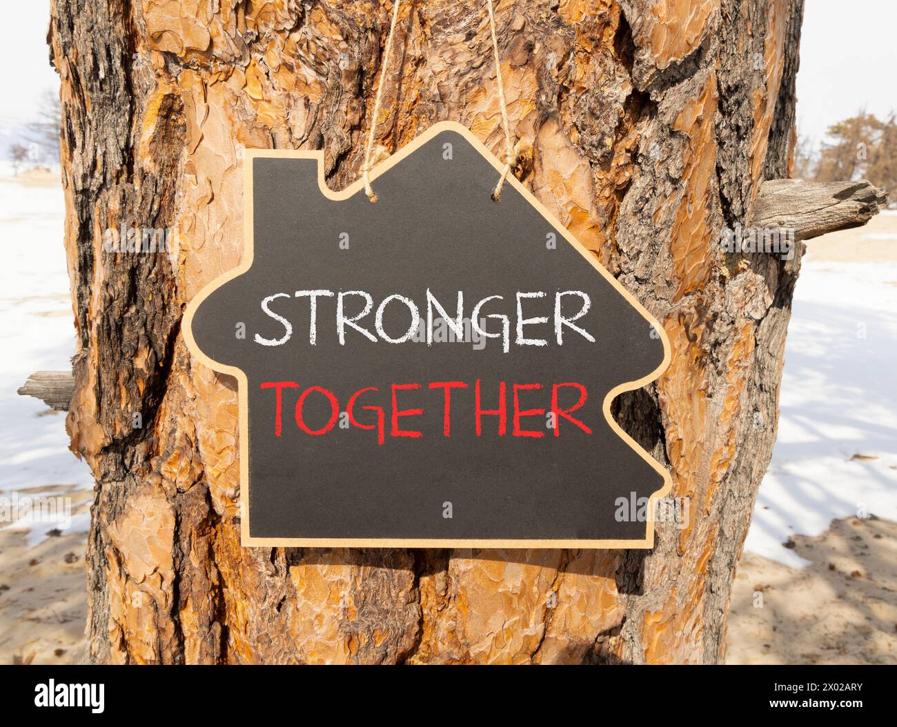 Stronger together symbol. Concept words Stronger together on beautiful ...