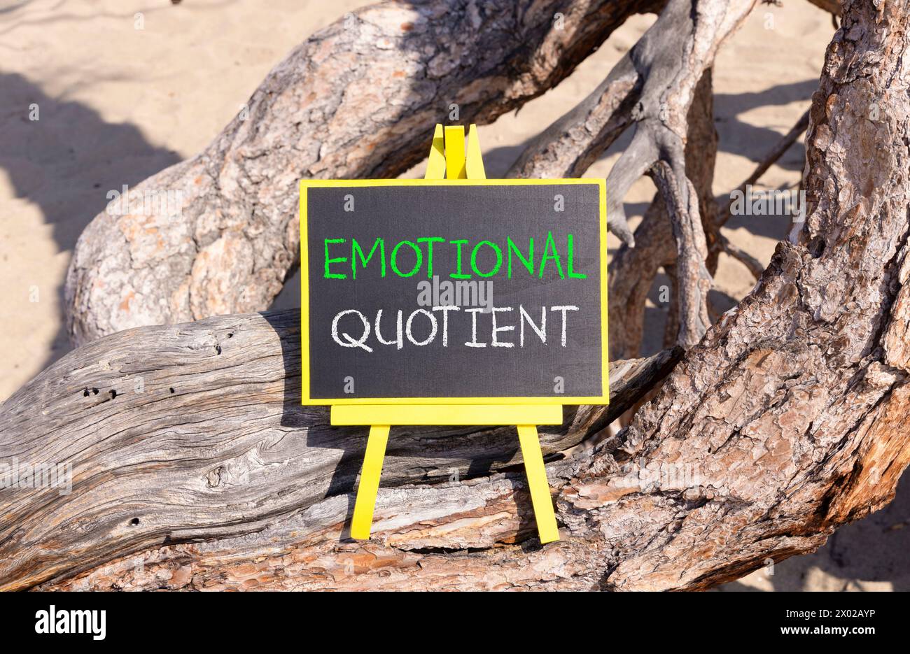 EQ emotional quotient symbol. Concept words EQ emotional quotient on ...
