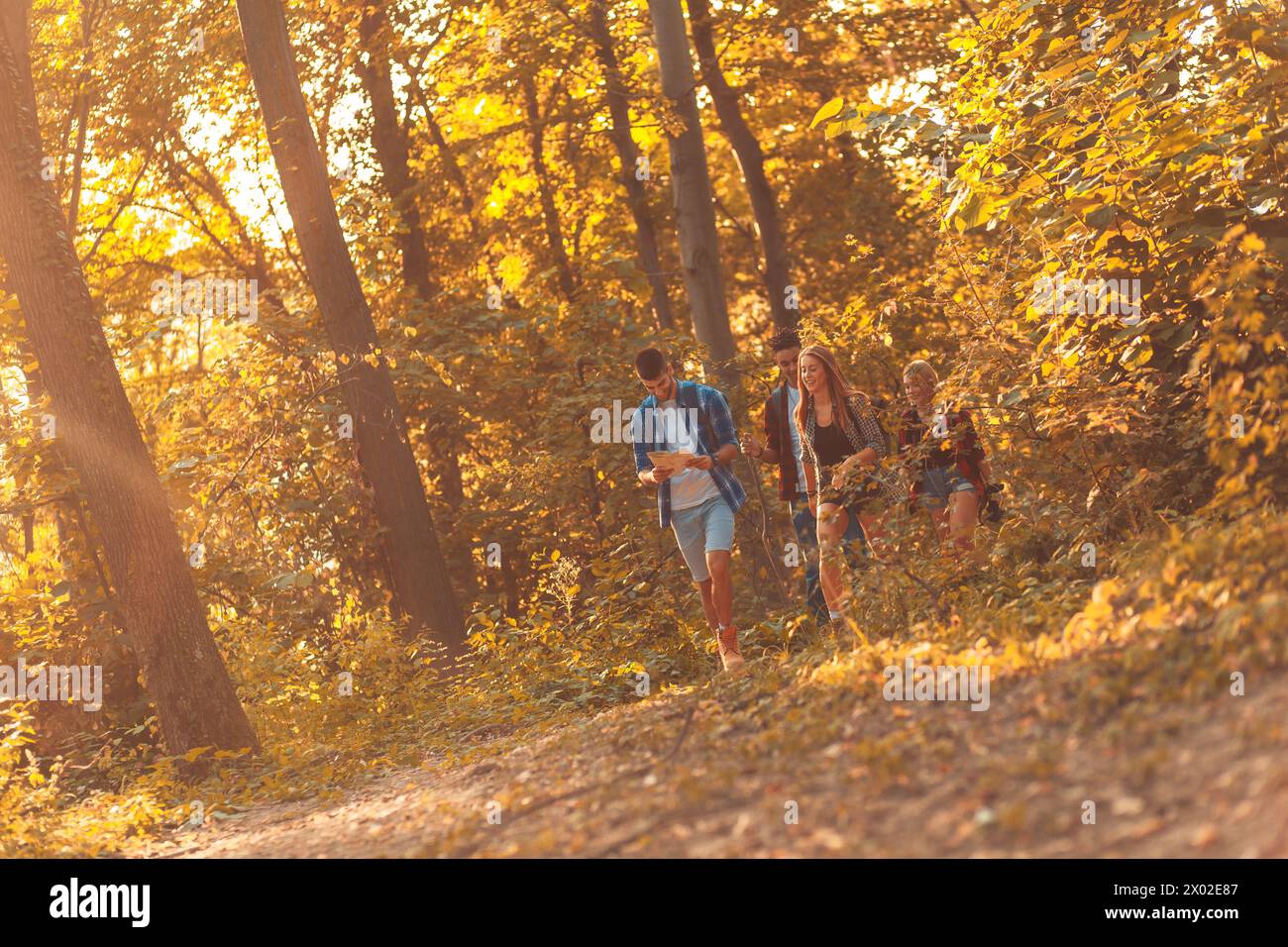 Group of four friends having fun hiking through forest together Stock ...