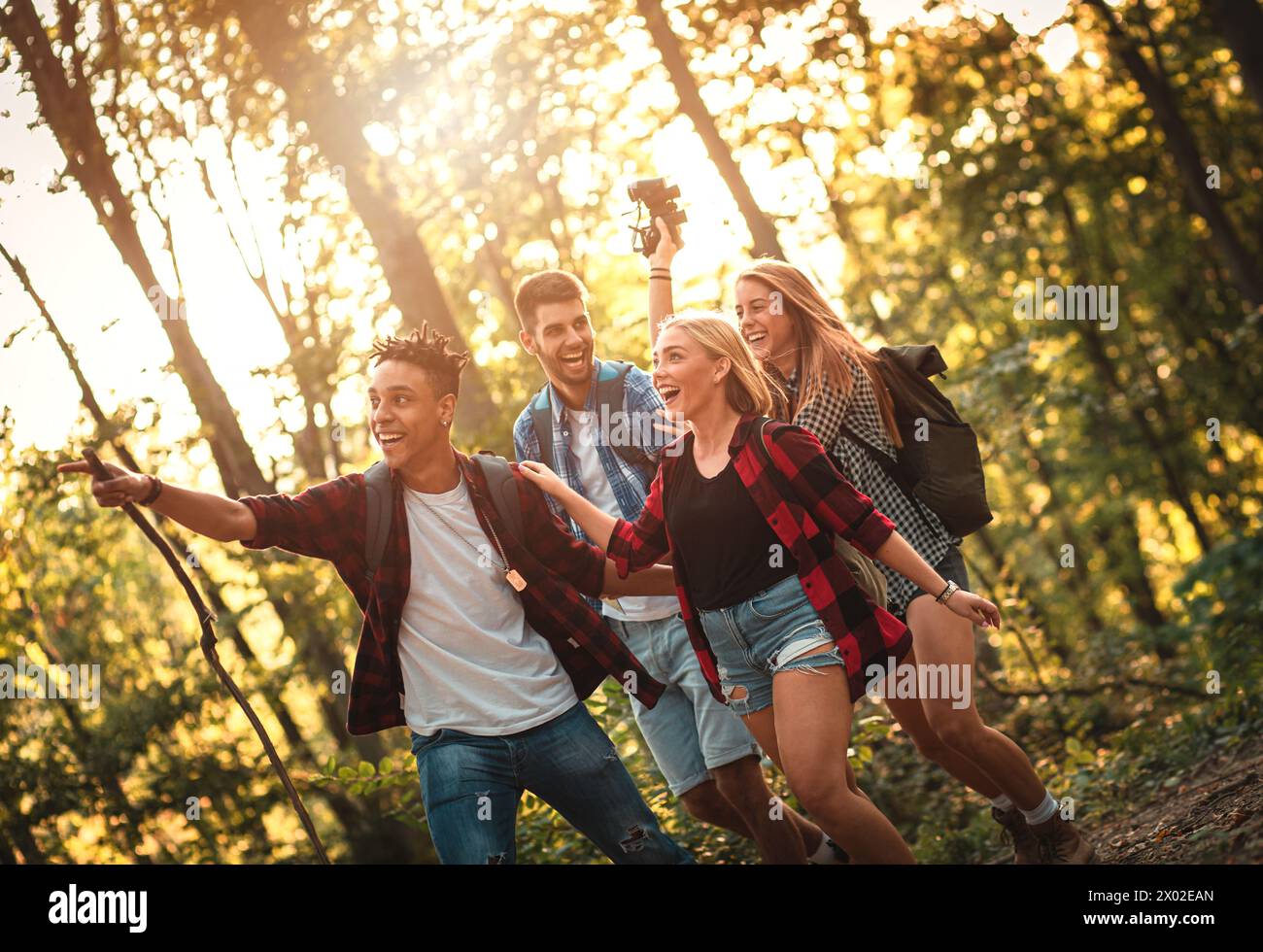Group hikers enjoying forest hi-res stock photography and images - Alamy