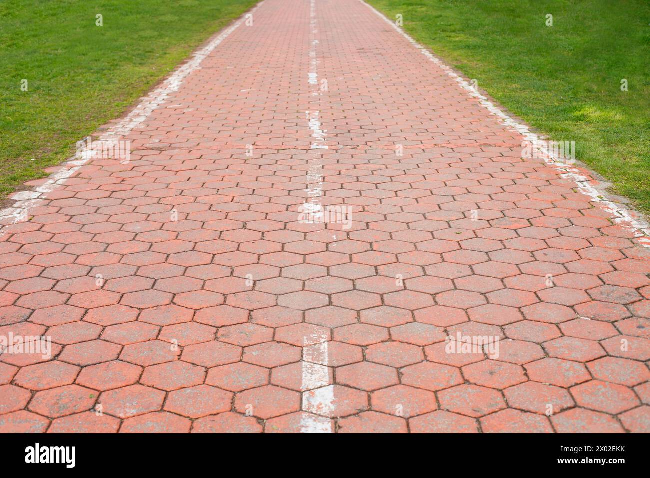 Smooth straight road. Path texture background with green grass. Brick ...
