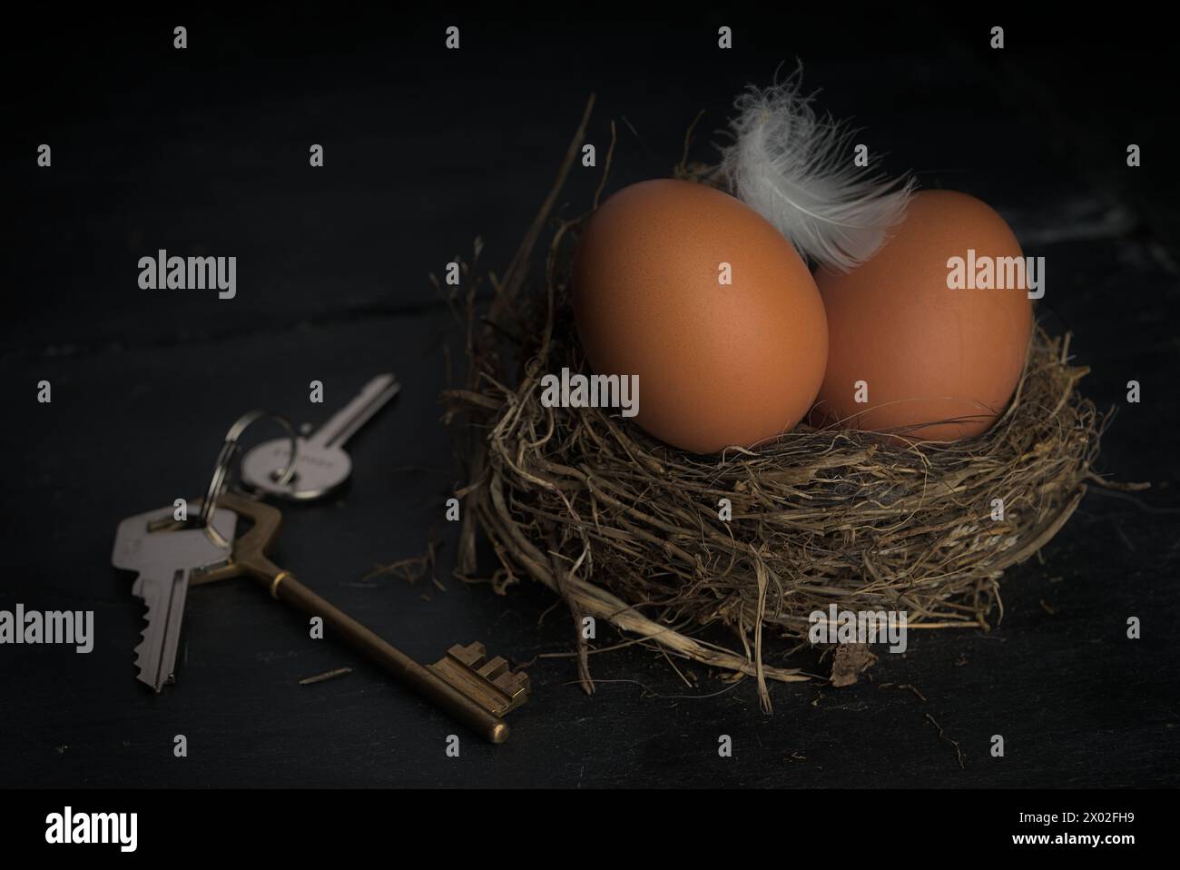 real estate, keys, nest and egg, symbol of habitation Stock Photo - Alamy