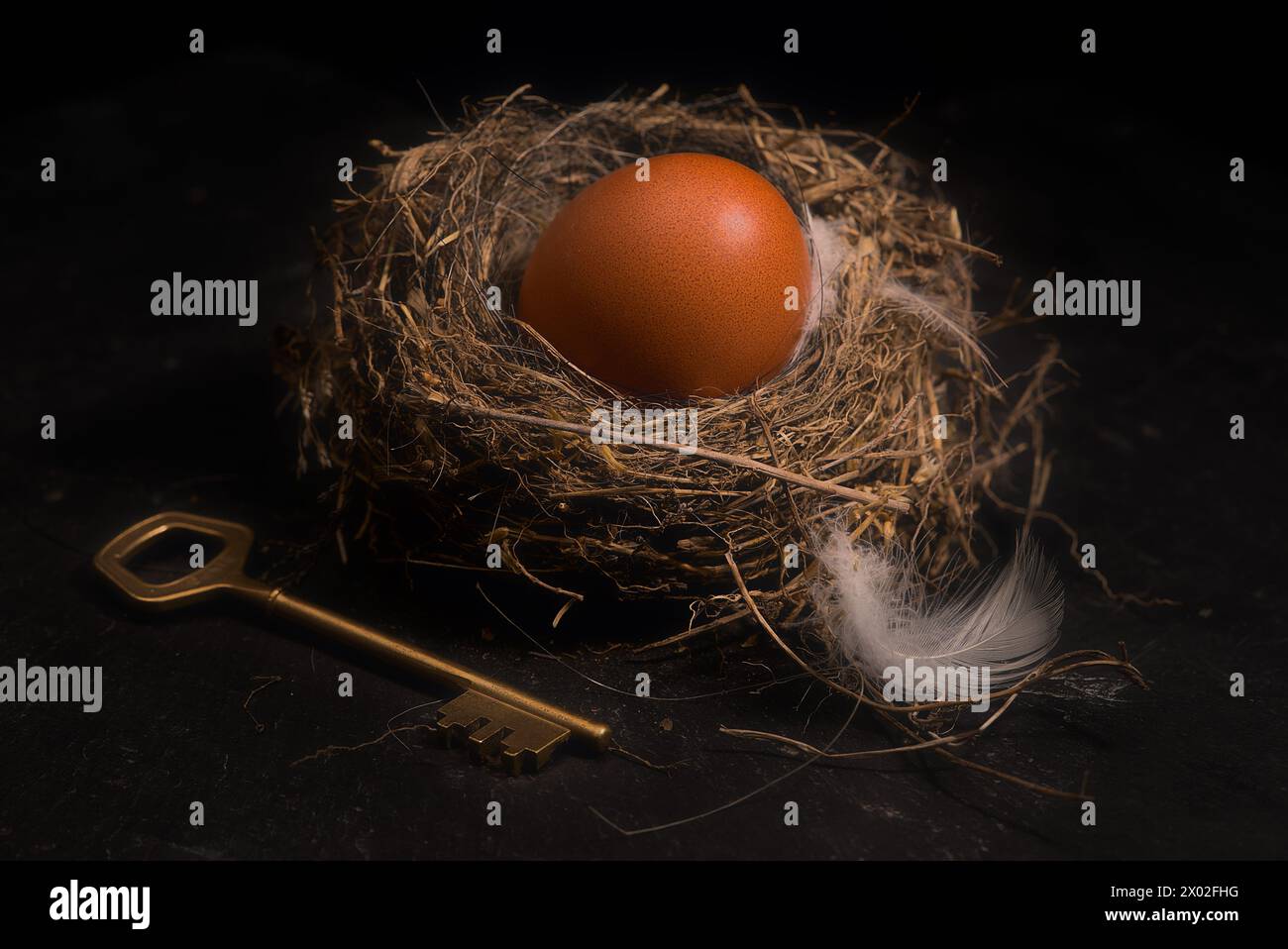 real estate, keys, nest and egg, symbol of habitation Stock Photo - Alamy