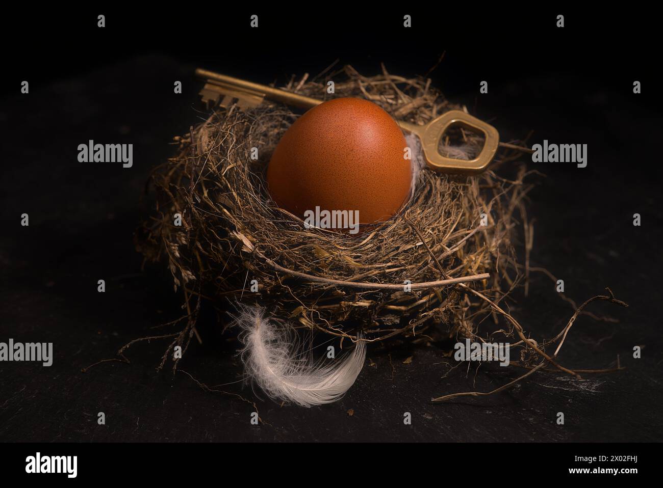 Cozy habitat hi-res stock photography and images - Alamy