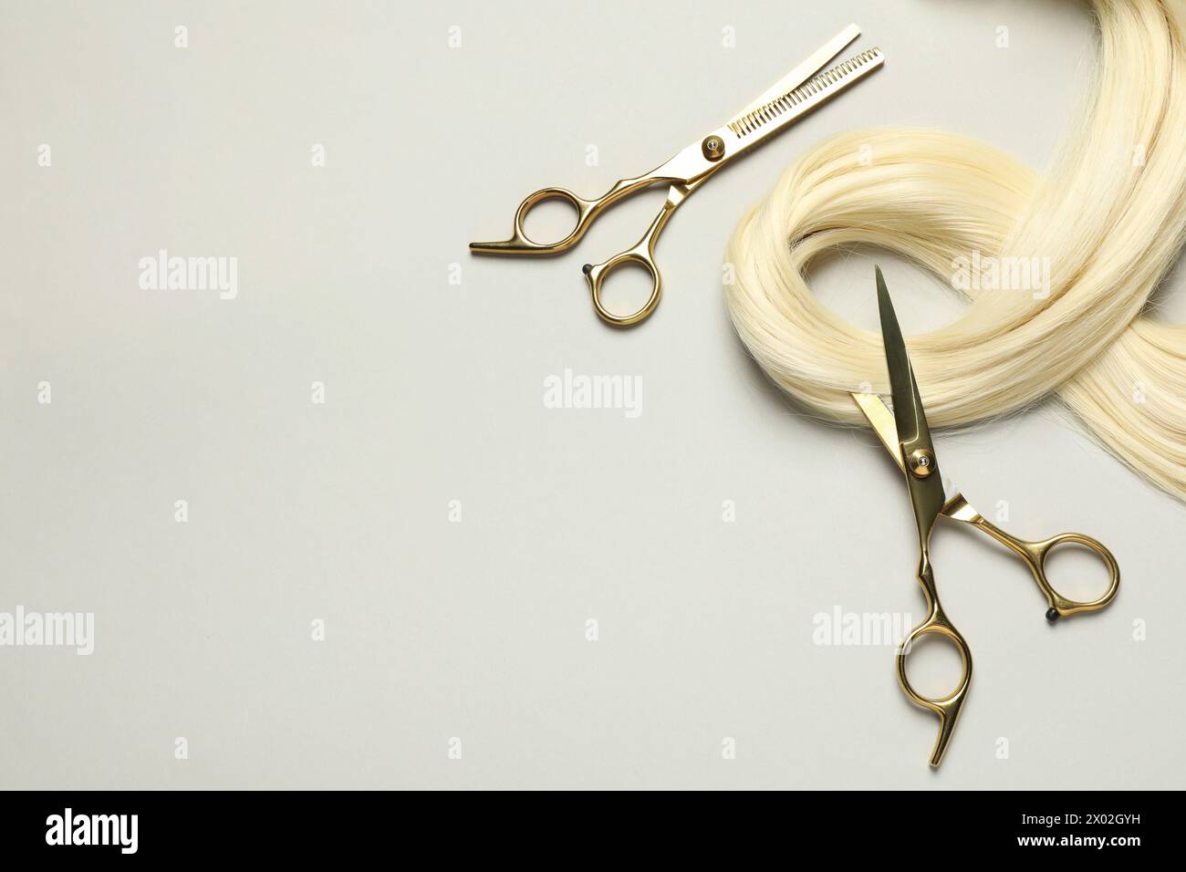Professional hairdresser scissors with blonde hair strand on light grey ...