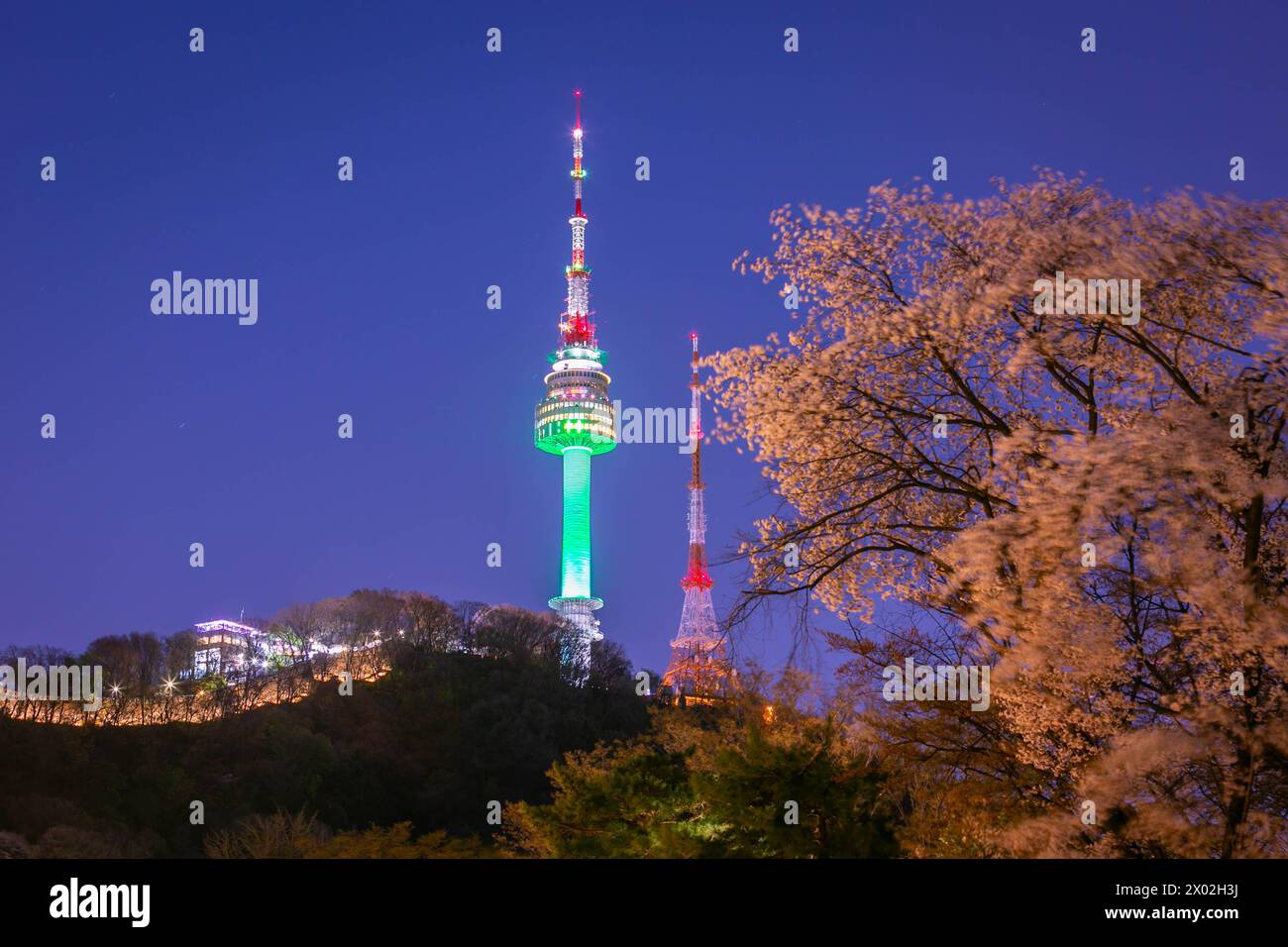 Namsan seoul tower cherry hi-res stock photography and images - Alamy