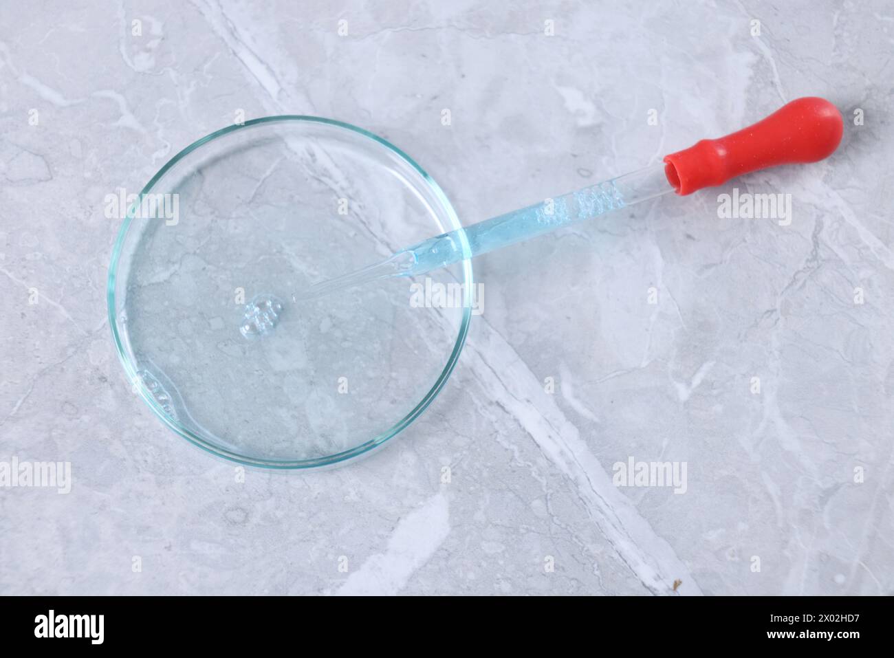 Glass pipette and petri dish with liquid on grey marble table, top view ...