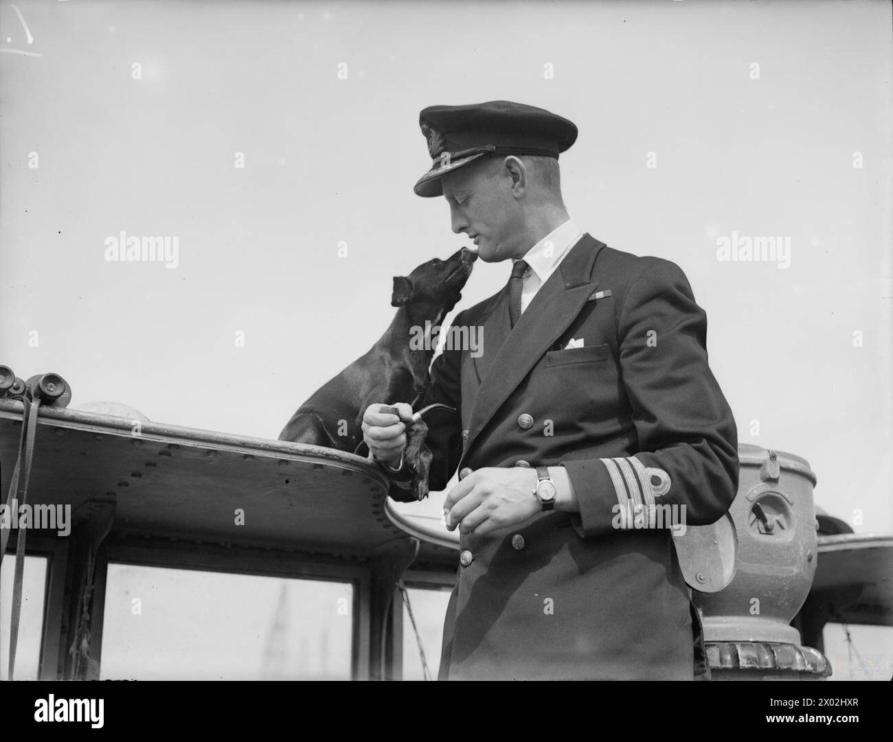 Captured dog hi-res stock photography and images - Alamy