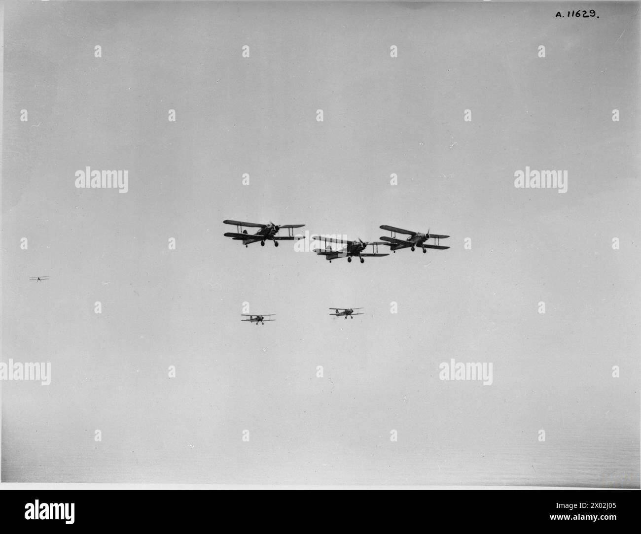 A formation of five Fairey Albacore aircraft from 820 Naval Air ...