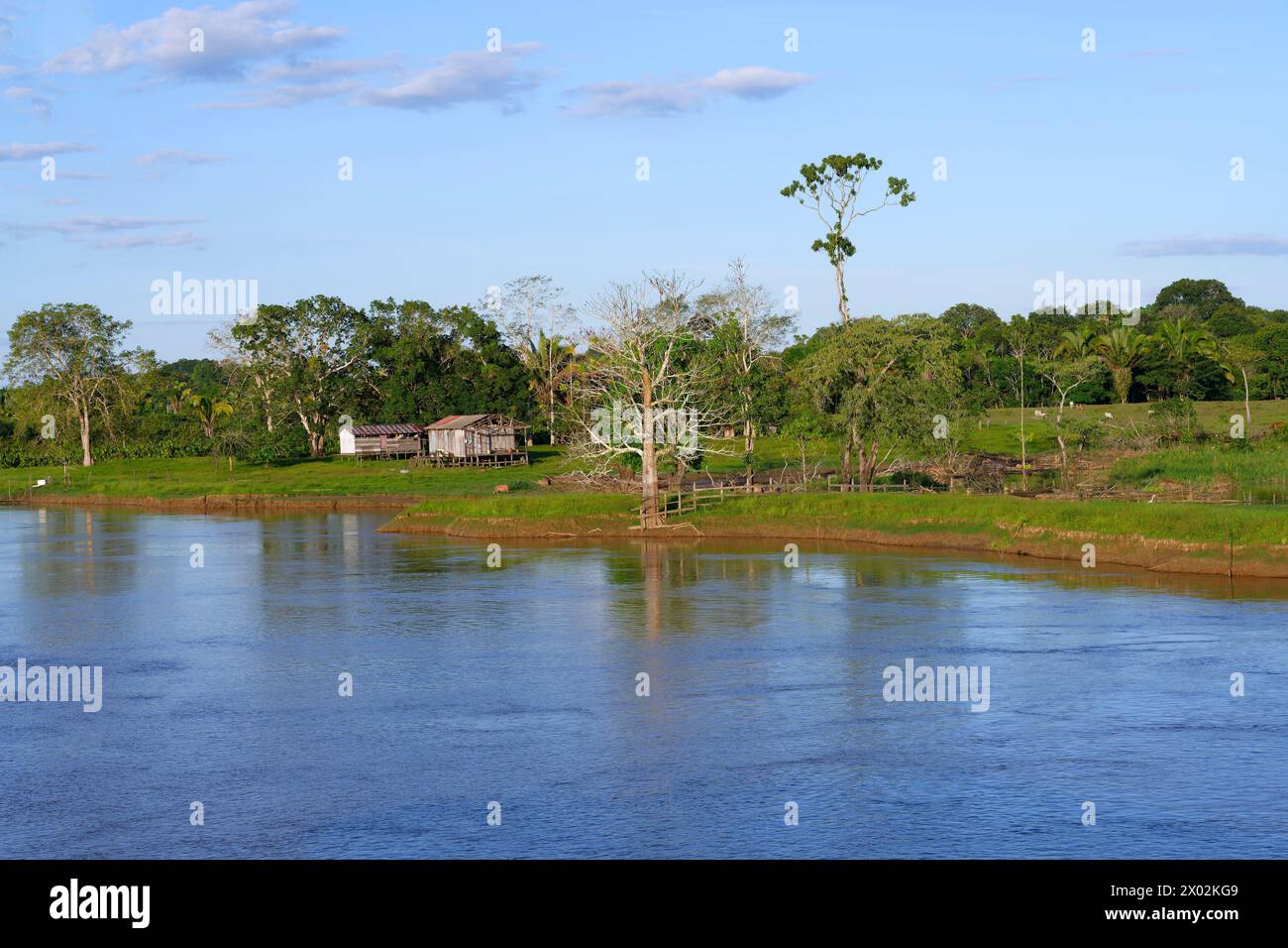 Madeira River South America