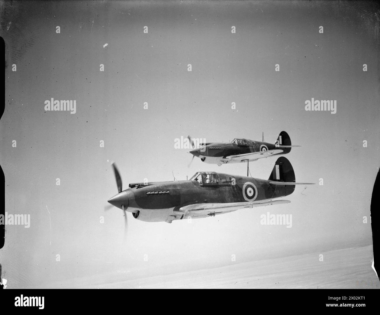 AMERICAN AIRCRAFT IN RAF SERVICE 1939-1945: CURTIS HAWK 81A TOMAHAWK ...
