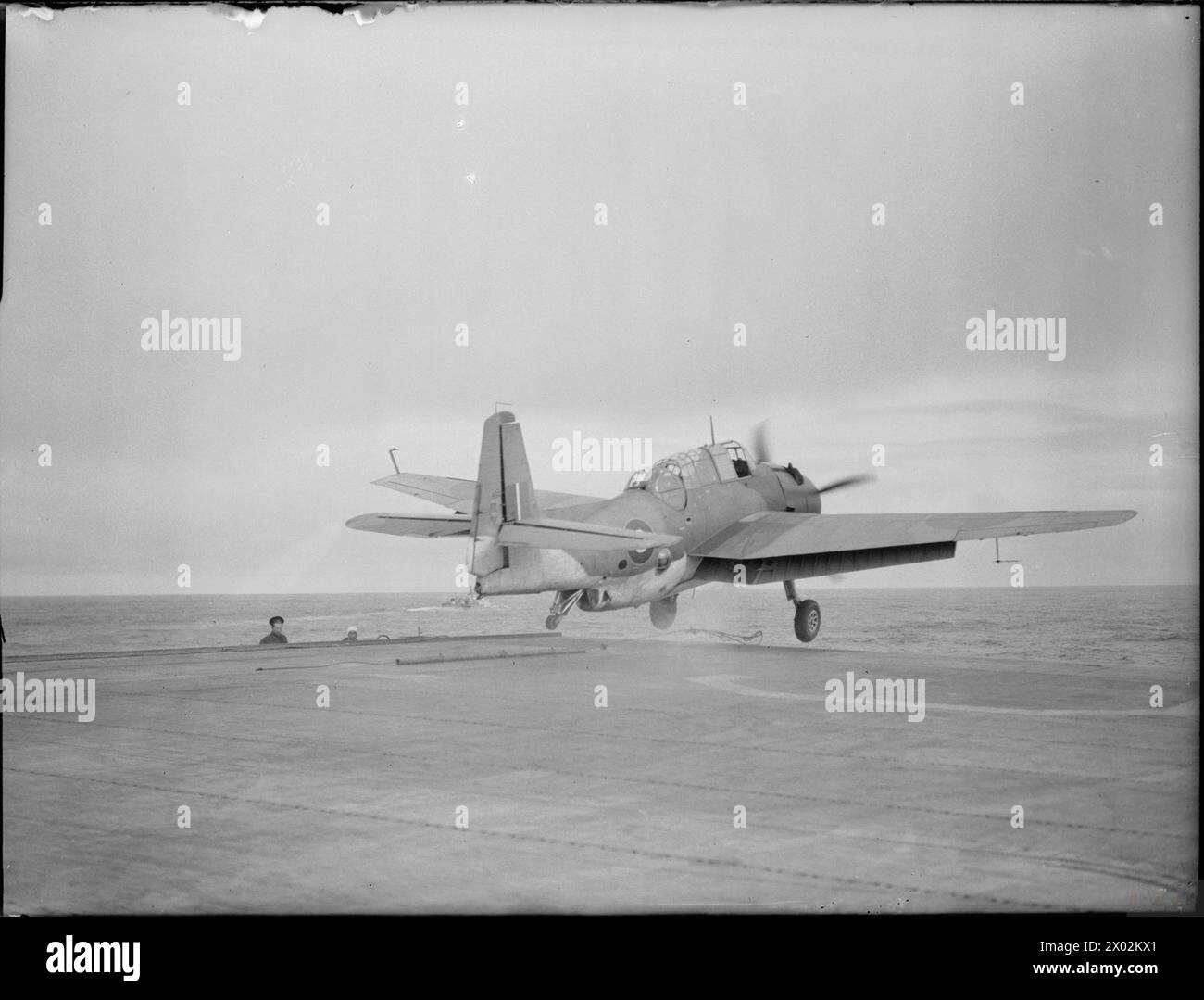 THE ROYAL NAVY DURING THE SECOND WORLD WAR - A Grumman Avenger of 846 ...